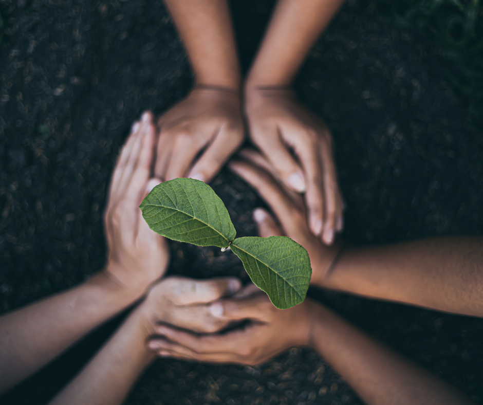 MennoCon23 Special Offering to support Creation Care Fund | Mennonite ...
